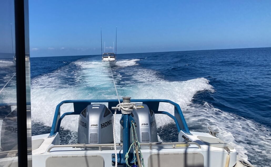 Marine Rescue Merimbula assists after marlin disables vessel - Marine ...