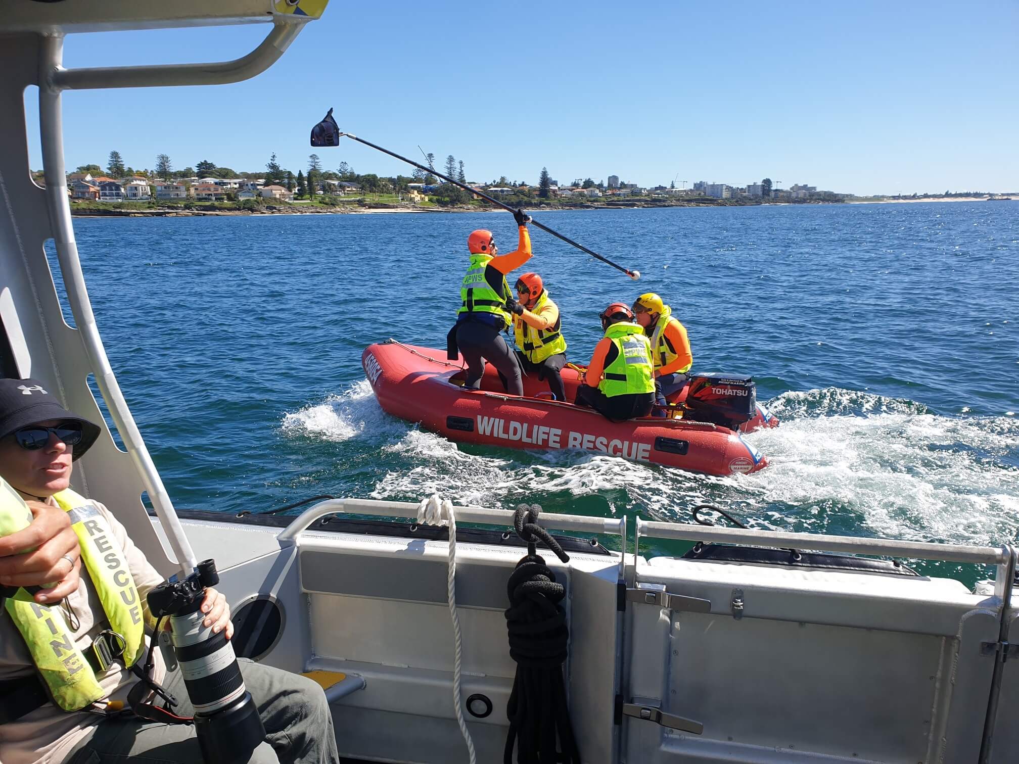 Marine Rescue volunteers take part in NSW NPWS whale disentanglement ...