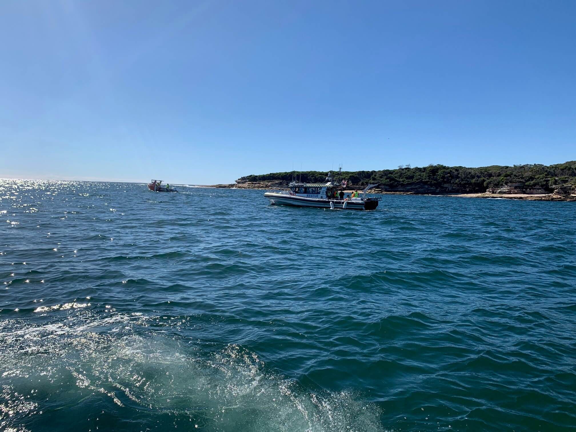 Marine Rescue volunteers take part in NSW NPWS whale disentanglement ...